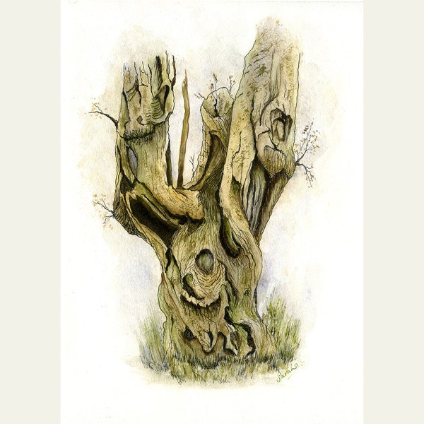 Gnarly Tree - Etsy