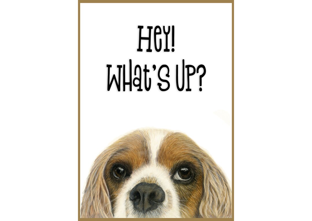 King Charles Spaniel Poster. A Fun Quote Print to Brighten up Any Room ...