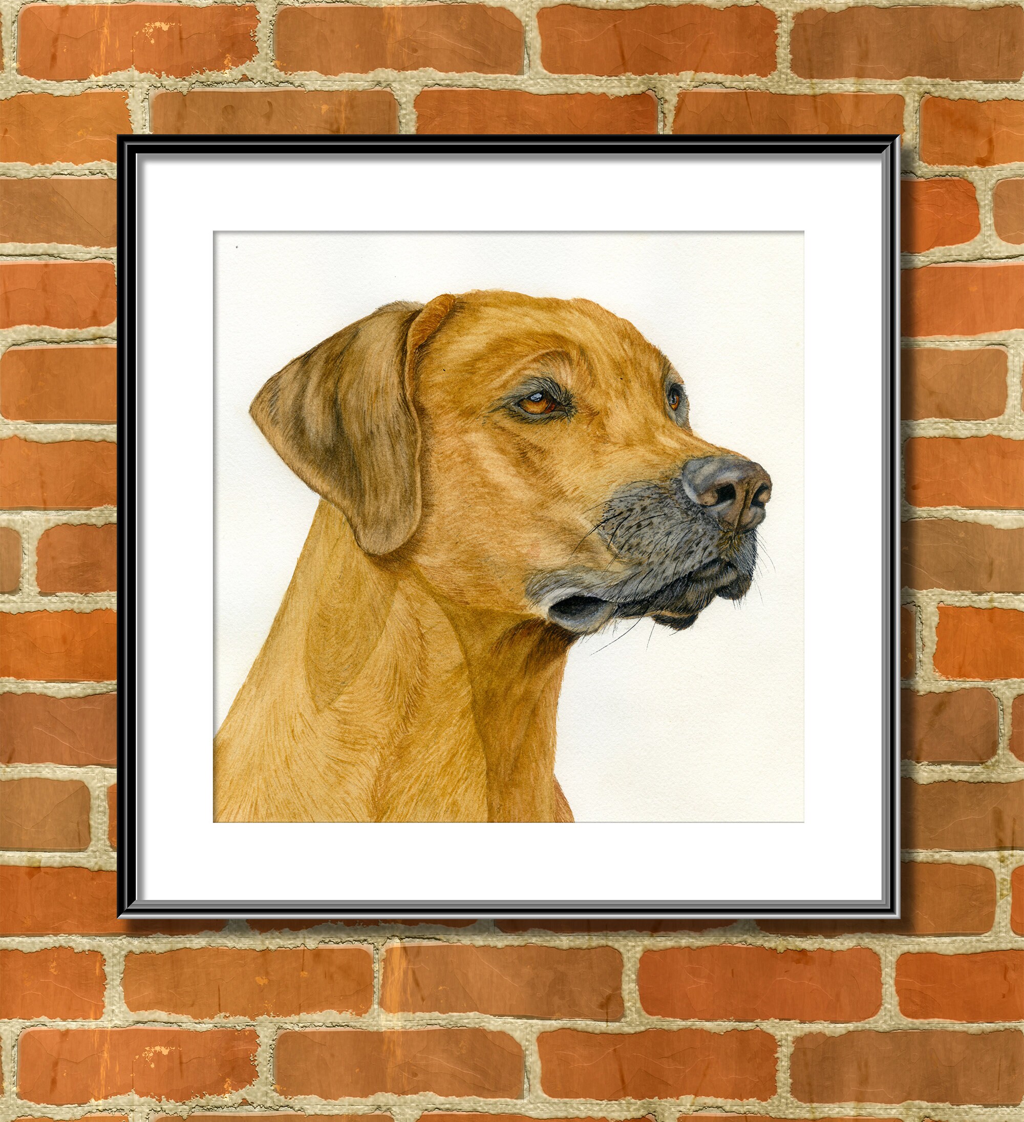 Rhodesian Ridgeback Hund Fine Art PRINT von einem Original | Etsy