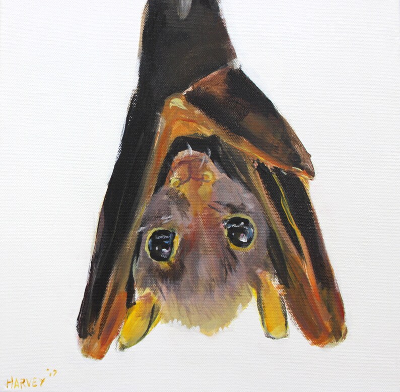 Little Bat Print on Canvas - Etsy