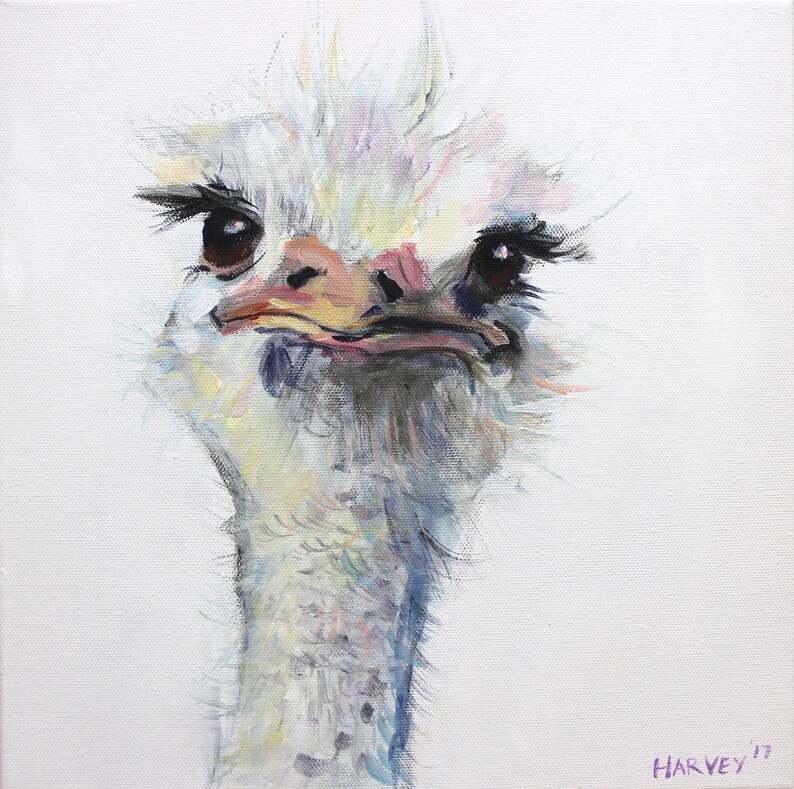 Little Ostrich Print on Canvas - Etsy