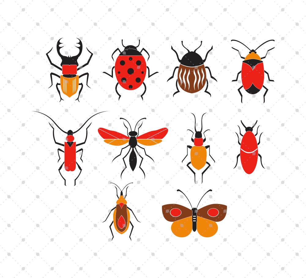 Bugs SVG Cut Files Insects SVG Cut Files for Cricut | Etsy
