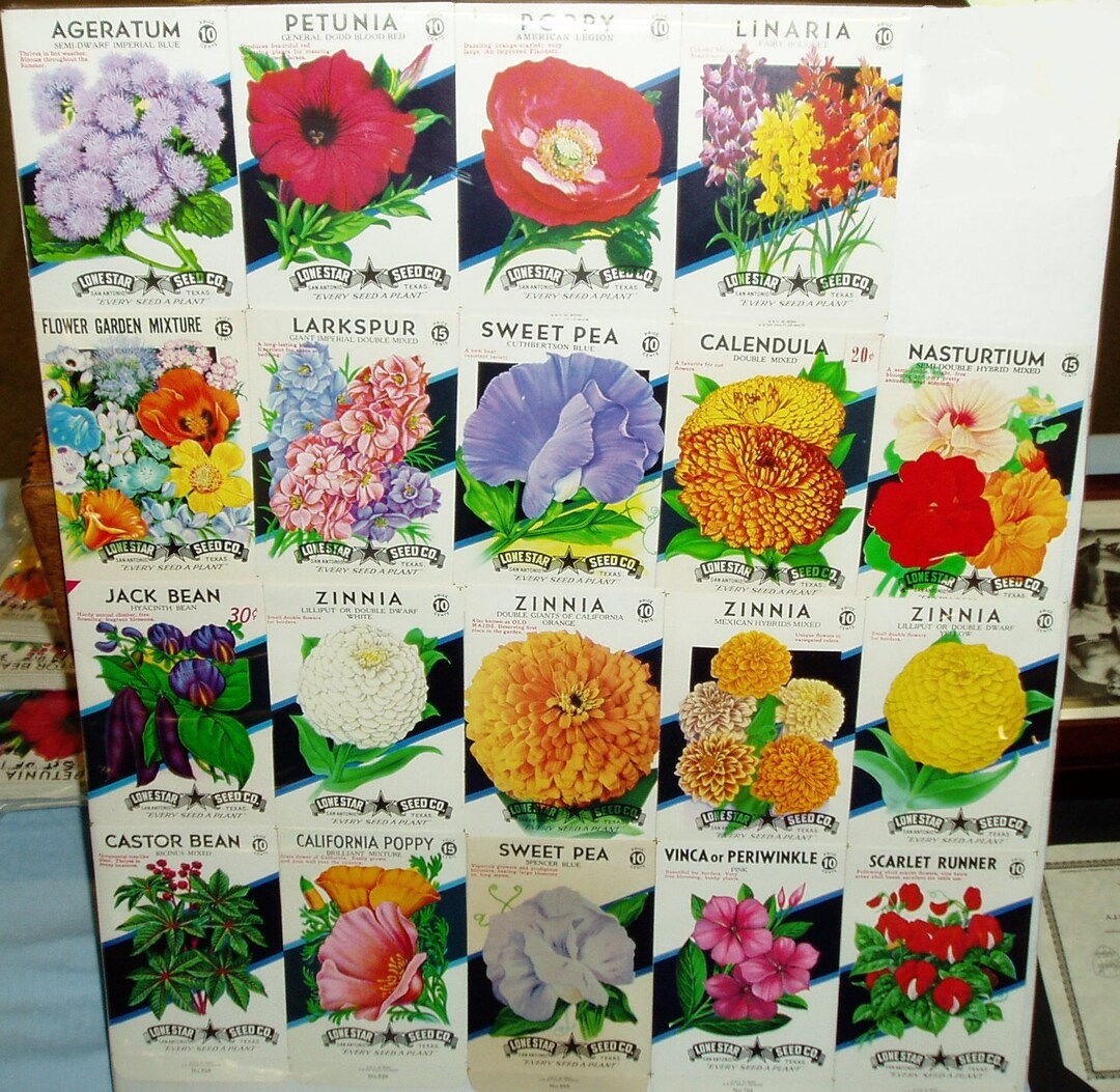 19 DIFFERENT Flower SEED Packs Texas San Antonio 10 Cent and 15 Cent - Etsy