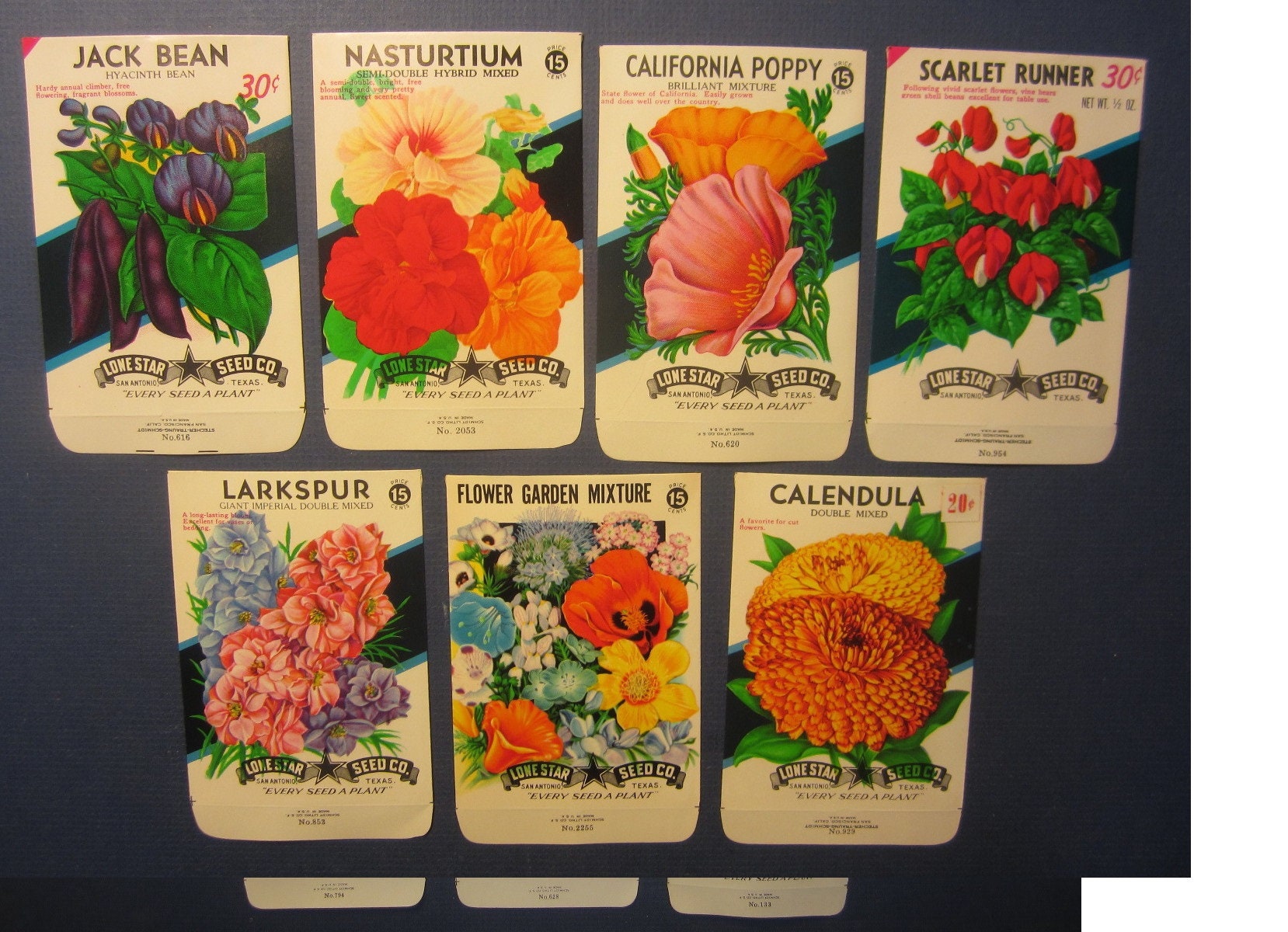 19 DIFFERENT Flower SEED Packs Texas San Antonio 10 Cent and 15 Cent - Etsy