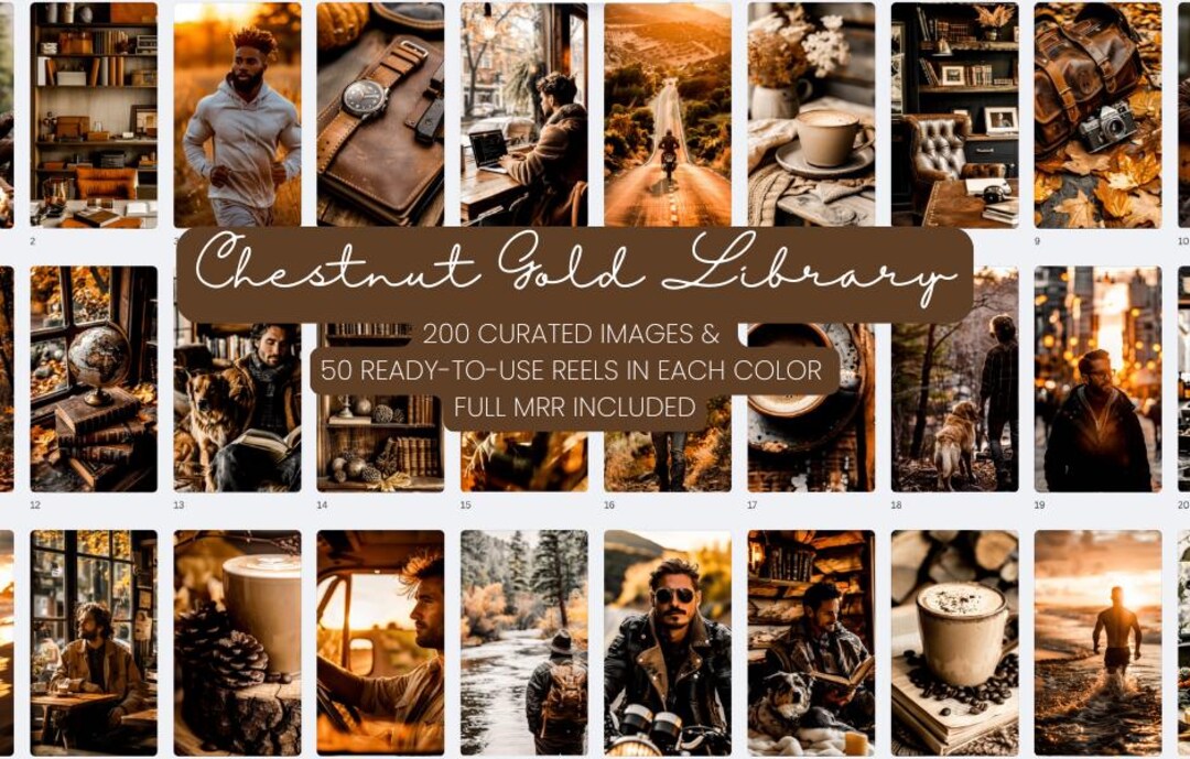 Chestnut Gold Content Library W/ Master Resell Rights | 200 Curated ...