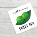 Sweet Pea Anniversary Card, Cute Vegetable Pun Card, Hap-pea ...