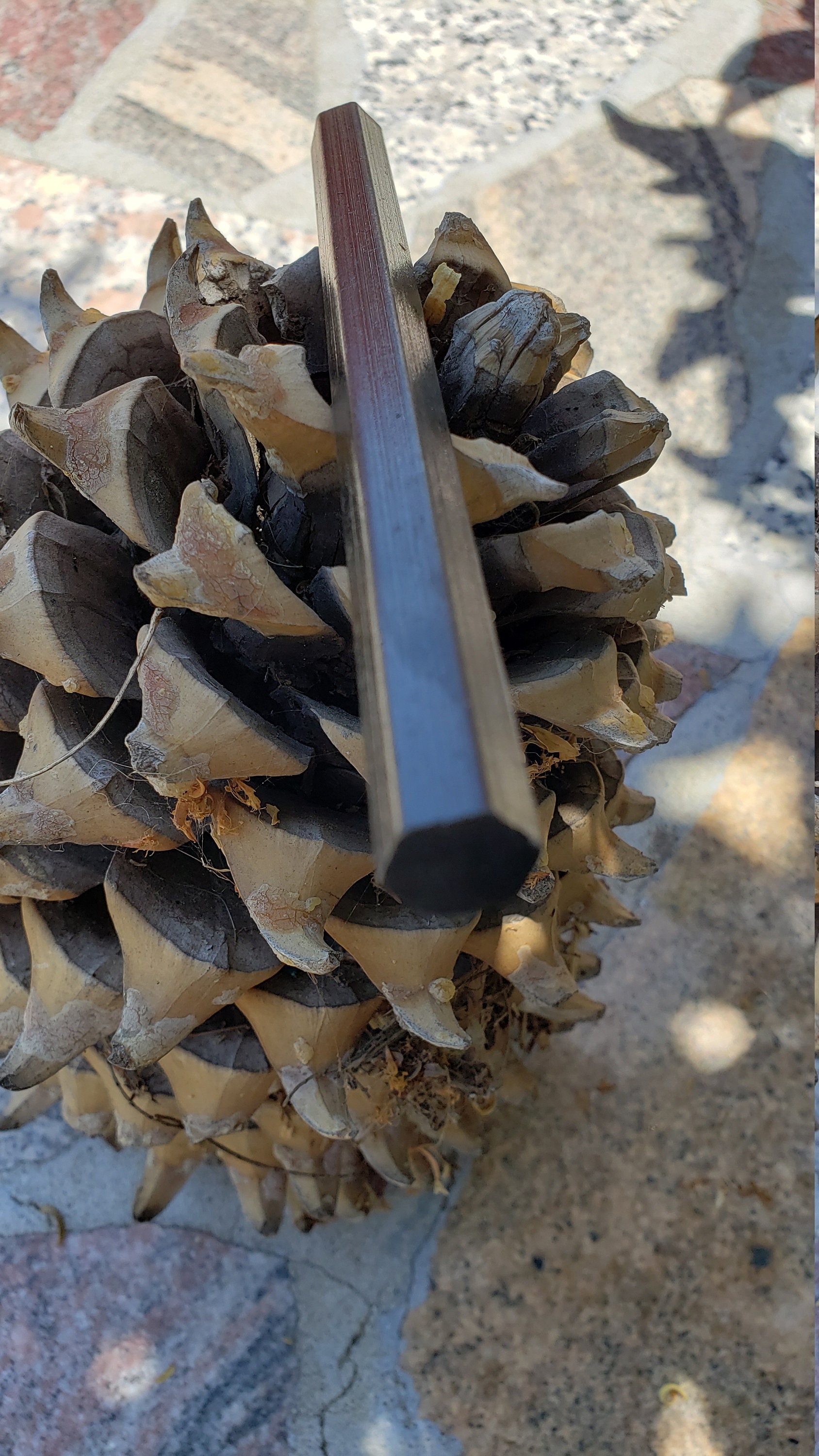 Bushcraft Firesteel Hexagon Ferro Rod Ferrocium Rod Miscmetal ...