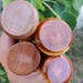 Bushcraft Ferrocerium Striker Ferro Rod Scraper High Speed Steel ...