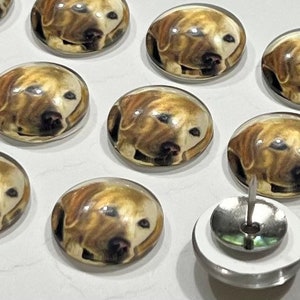 Designer Glass Push Pins Set - Dog Push Pins - 12 Pieces per Set ...