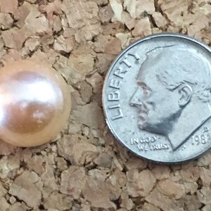 Cute Champagne Pearl Thumbtacks 30pcs Dorm Decor, Decorative Thumbtack ...