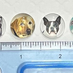 Designer Glass Push Pins Set - Dog Push Pins - 12 Pieces per Set ...