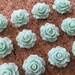 Flower Magnets or Push Pins Mint Green Roses - Etsy