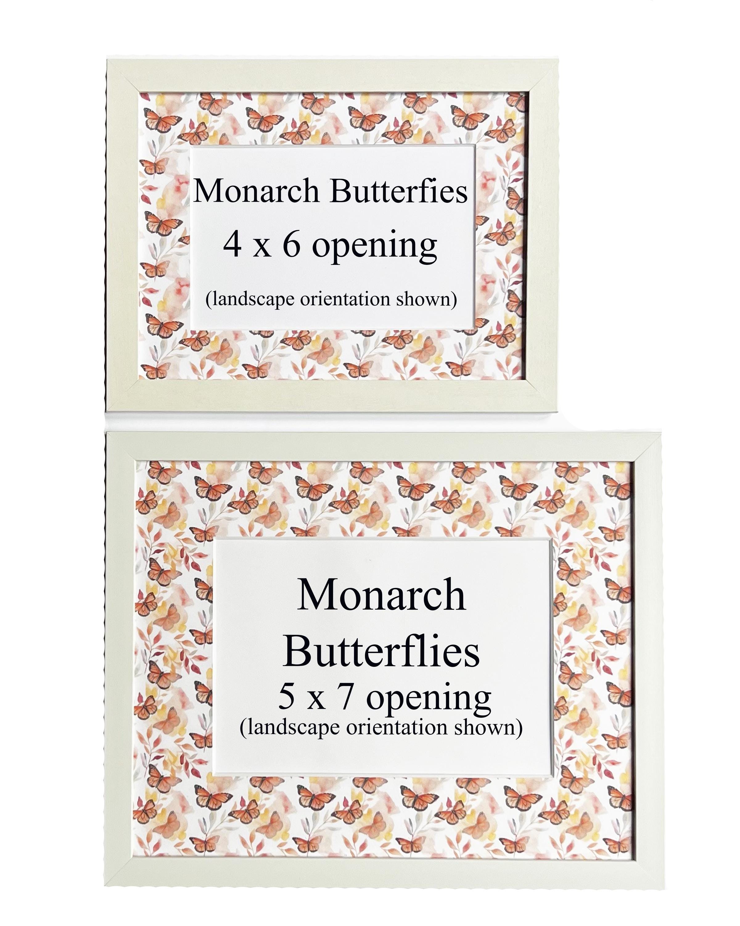 Butterfly Designer Photo Frame - Cubicle Decorations, Office Decor ...