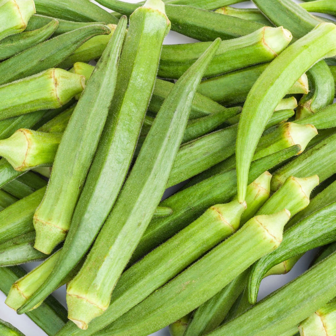 Okra Perkins Long Pod - Etsy