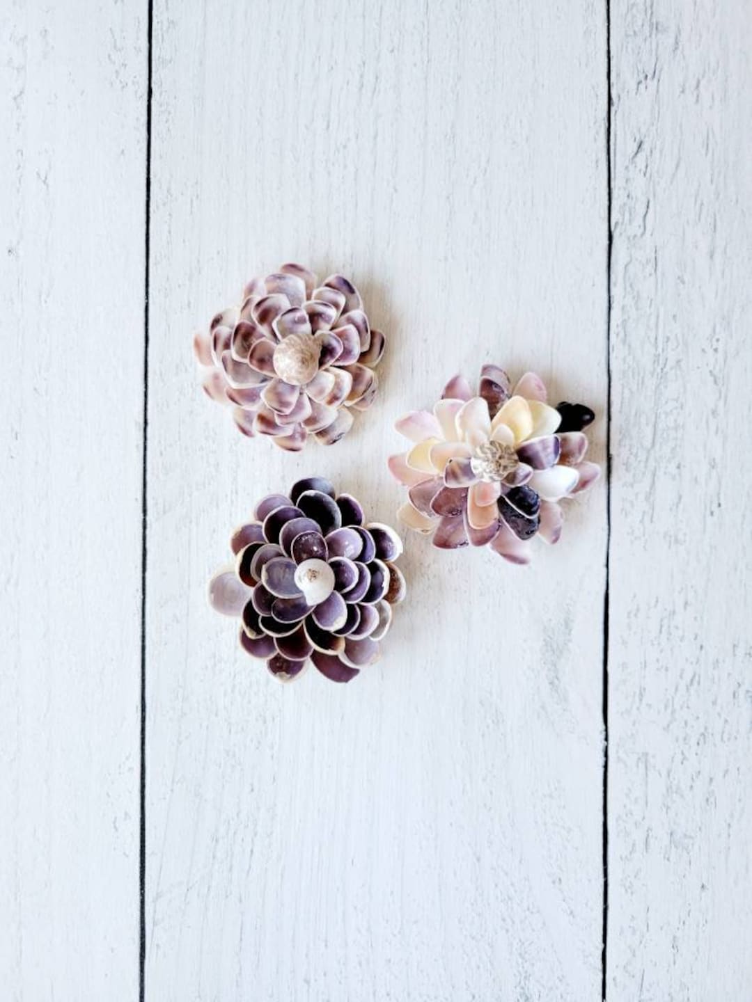 Seashell Flowers -shell Flowers - Beach Decor for Home - Beach Decor ...