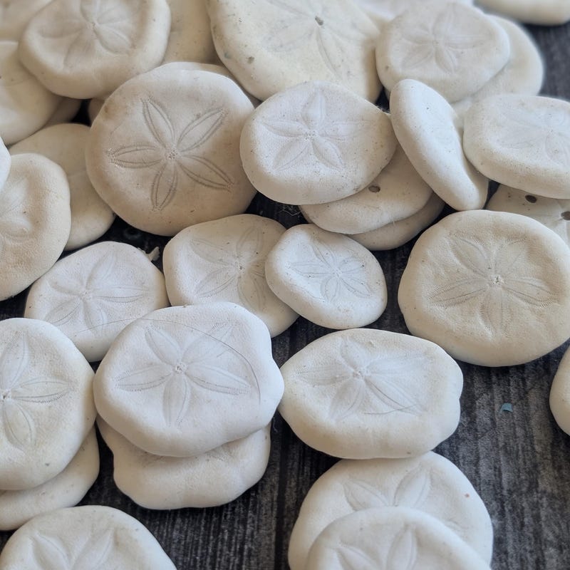 ColoradoBeachSoul - Etsy