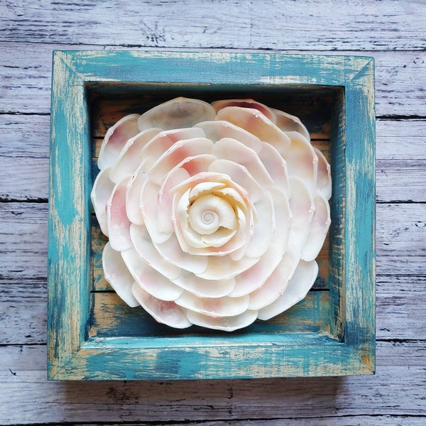 Seashell Wall Decor - Etsy