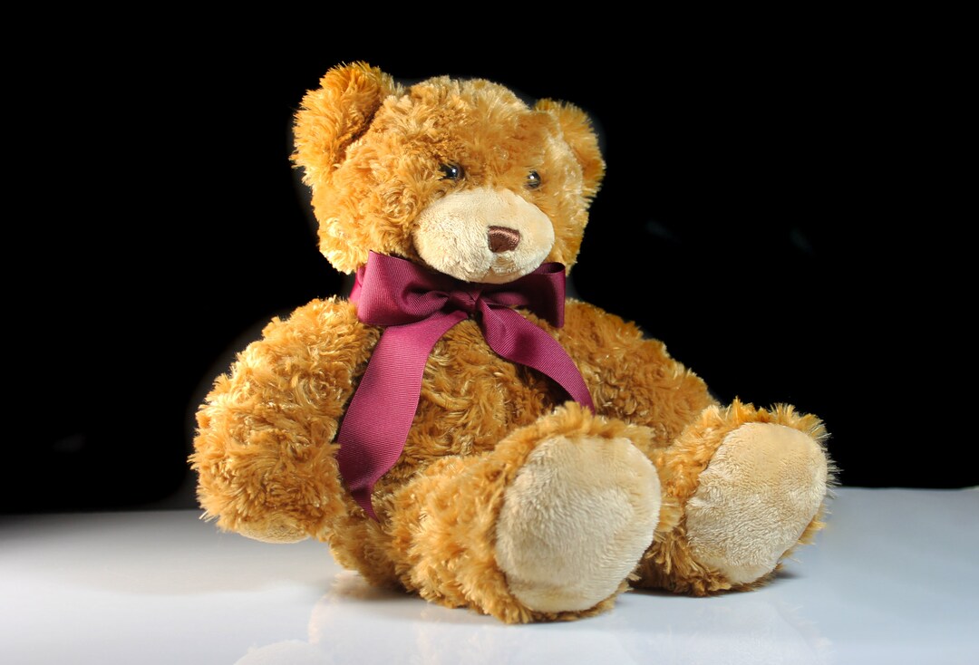 Bear Stuffed Animal Build A Bear Workshop 16 Inch Plush - Etsy