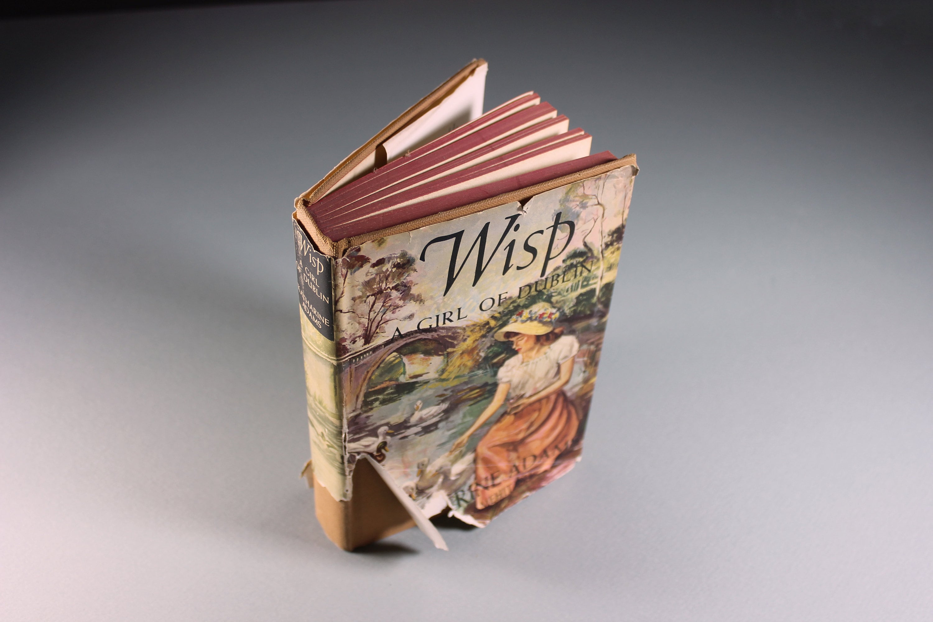 1922 Hardcover Book, Wisp, Katharine Adams, First Edition, Literature ...