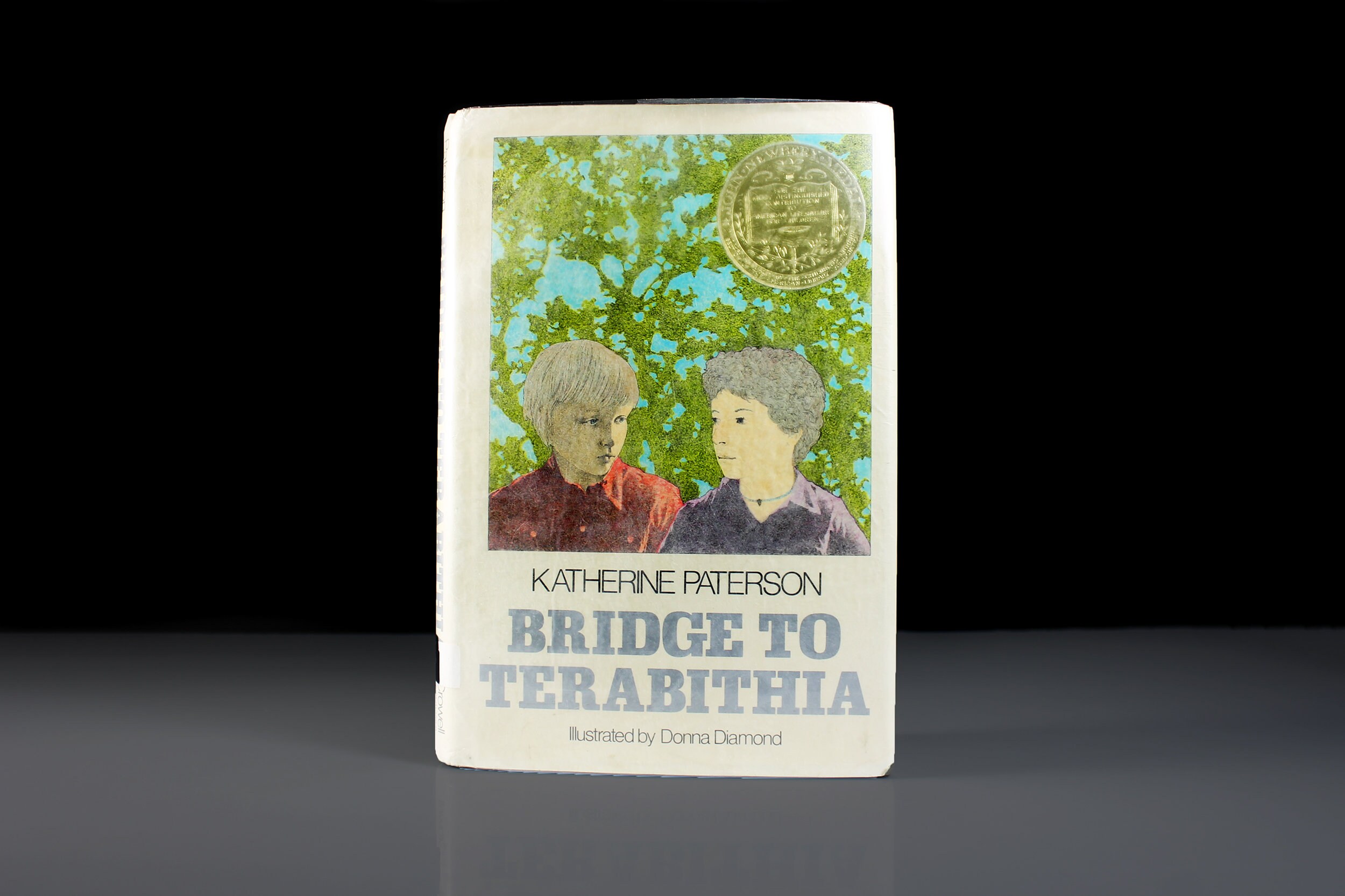 Bridge To Terabithia Book