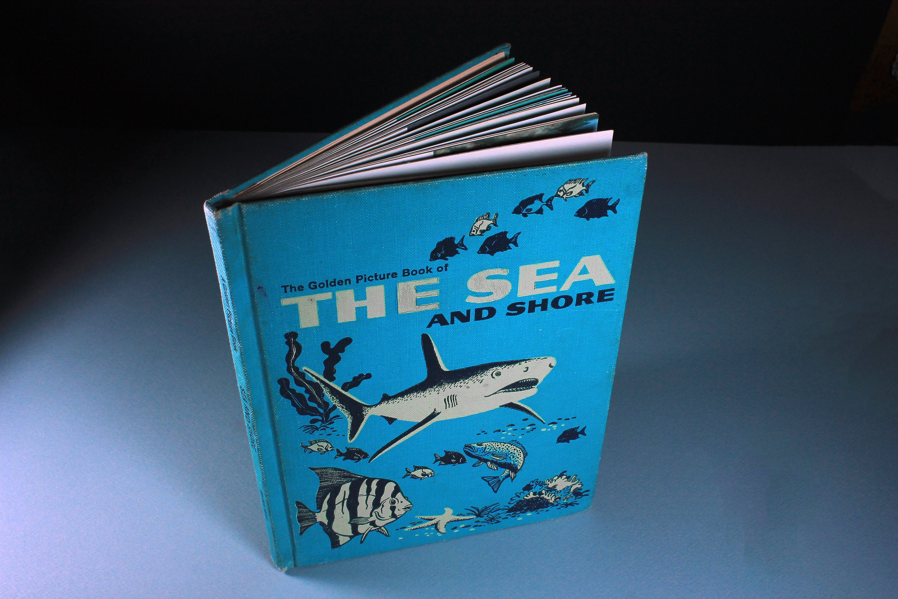 1959 Children's Hardcover Book, The Sea and The Shore, Golden Picture ...
