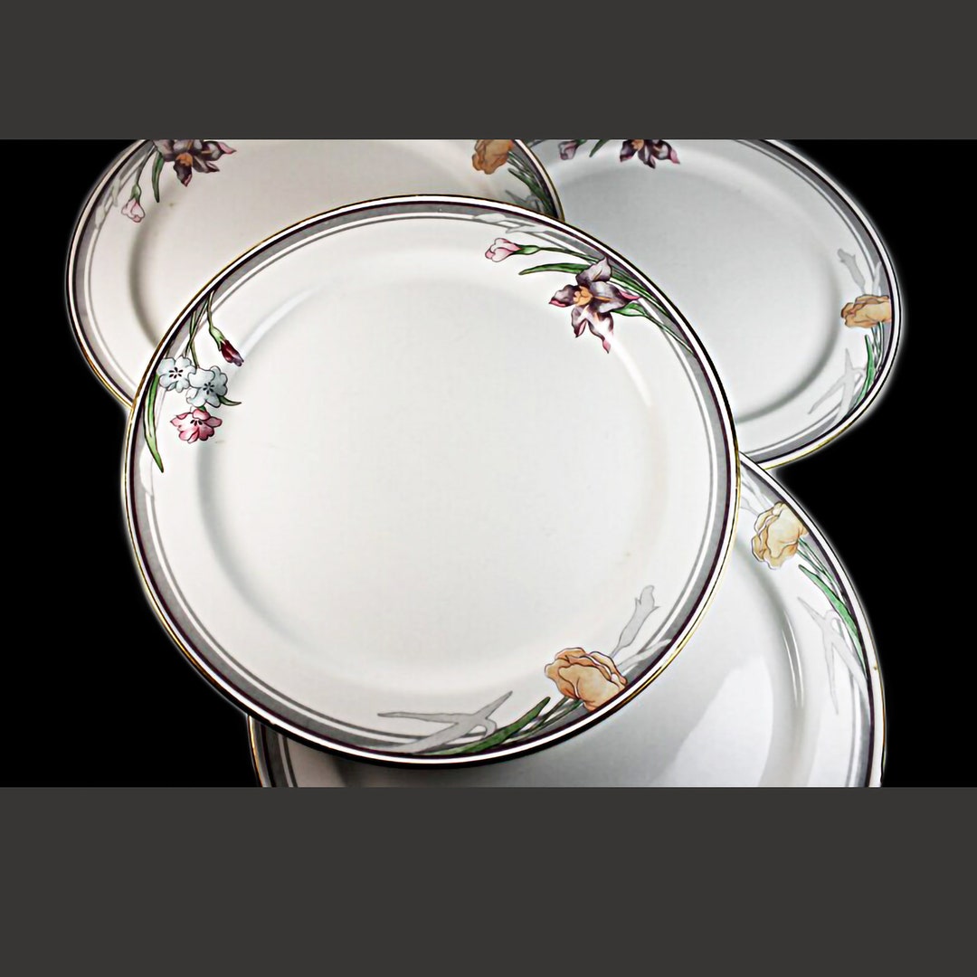 Dinner Plates, Shenango China, Set of Four, Floral, 11 Inch, Restaurant ...