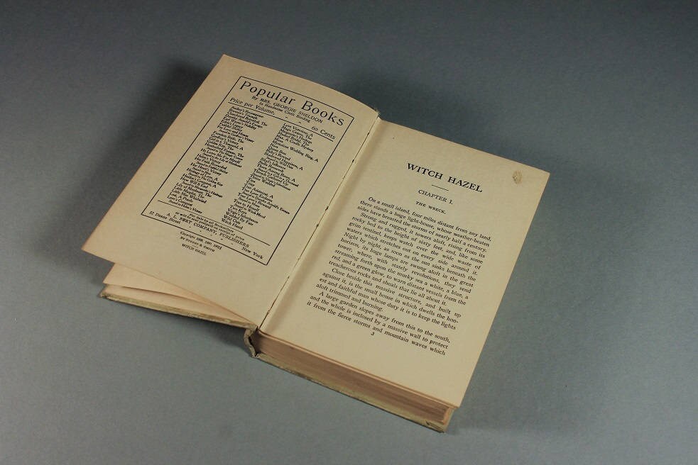 1892 Hardcover Book, Witch Hazel, Mrs. Georgie Sheldon, Antique, No ...