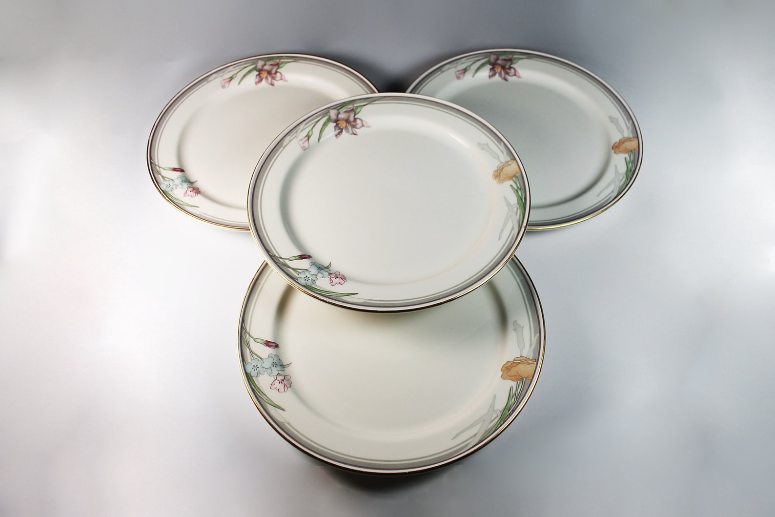 Dinner Plates Shenango China Set of Four Floral 11 Inch - Etsy