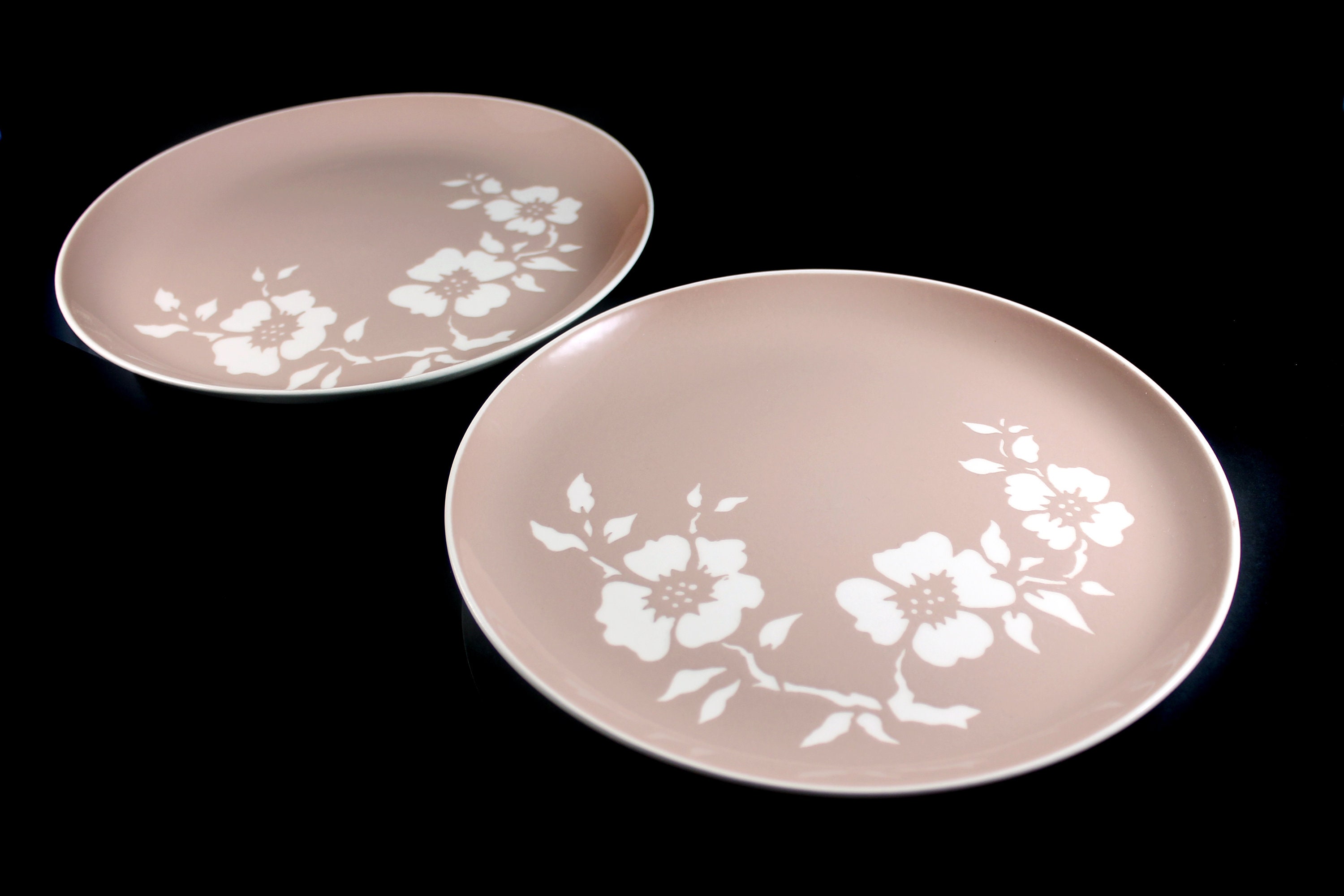 Dinner Plates, Harkerware, Dogwood Tan, Dinnerware, Set of 2, Serving