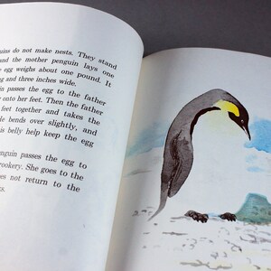 1969 Children's Hardcover Book, the Emperor Penguins, Kazue Mizumura ...