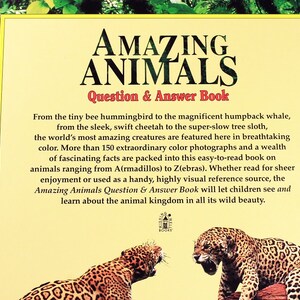 Children's Hardcover Book, Amazing Animals, Reference Book, Question ...