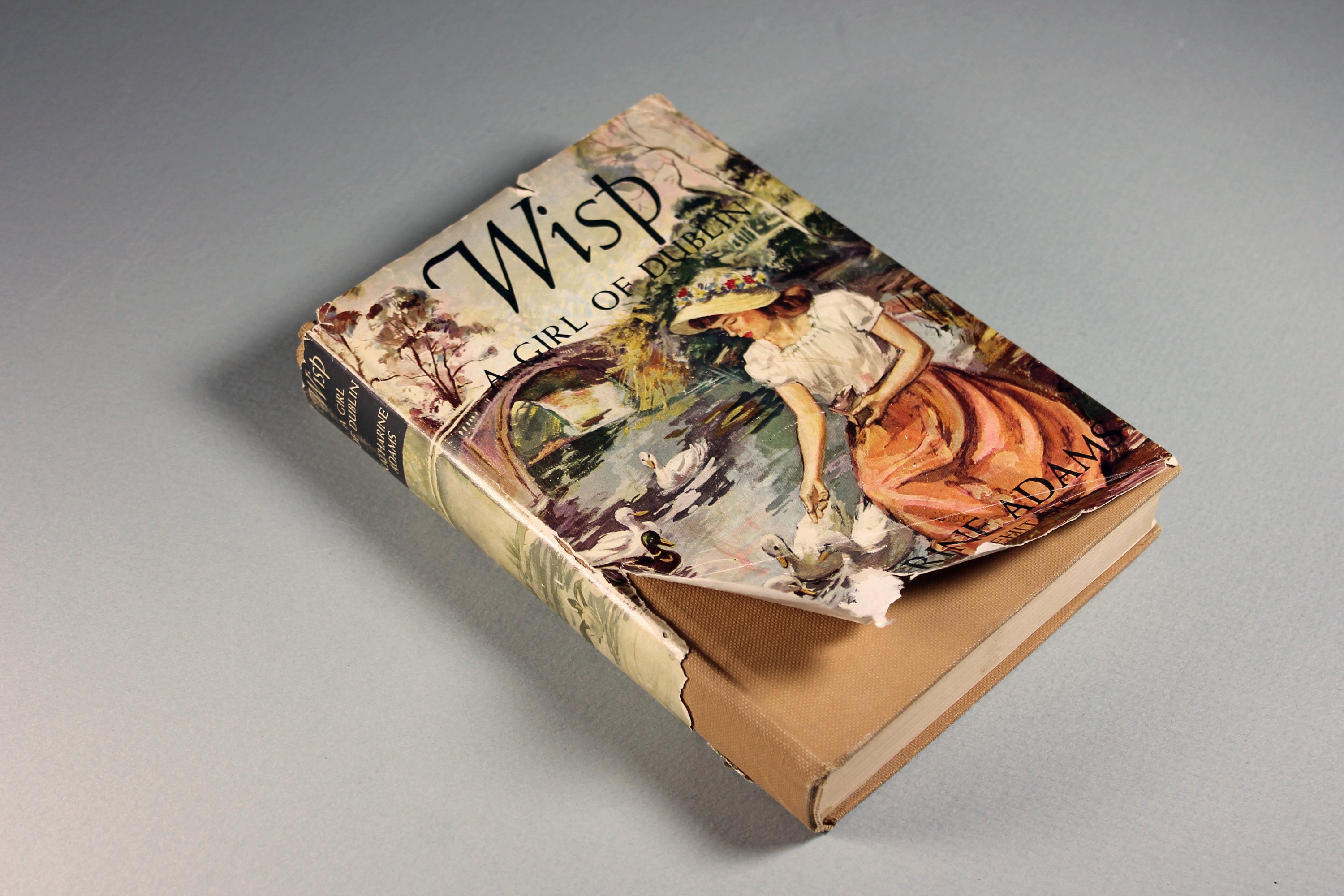 1922 Hardcover Book, Wisp, Katharine Adams, First Edition, Literature ...