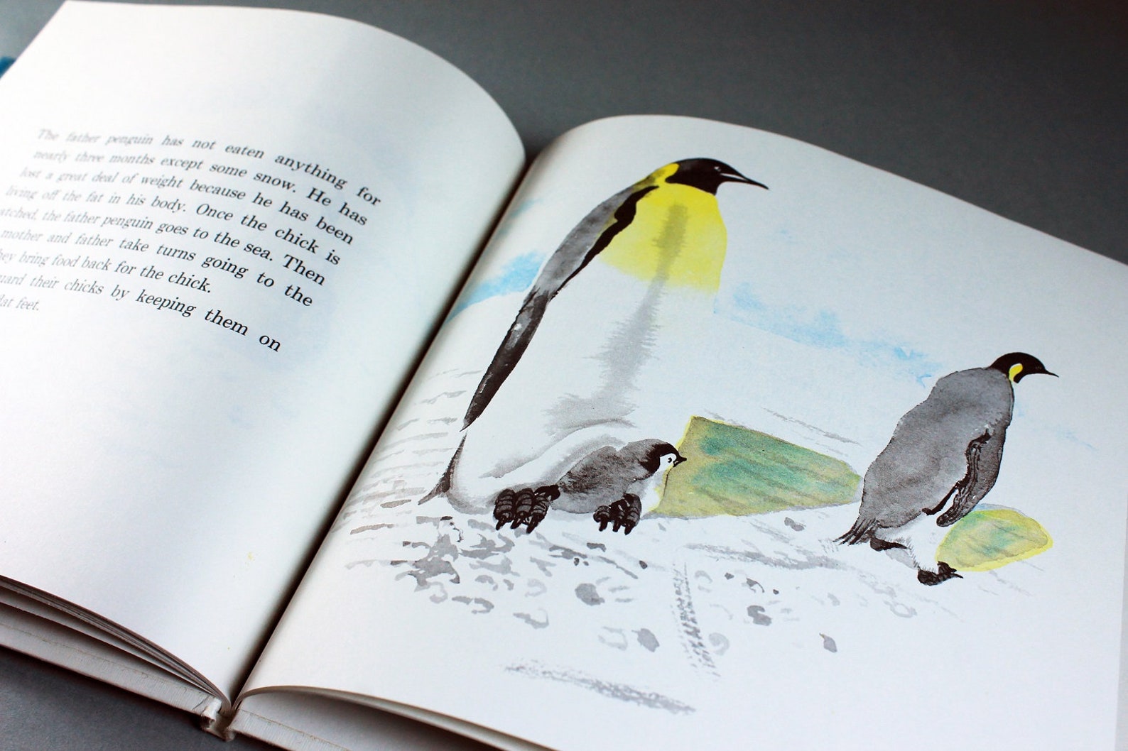 1969 Children's Hardcover Book the Emperor Penguins - Etsy