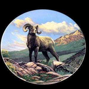 1989 Collectible Plate, Dominion China, Canada's Big Game Collection ...
