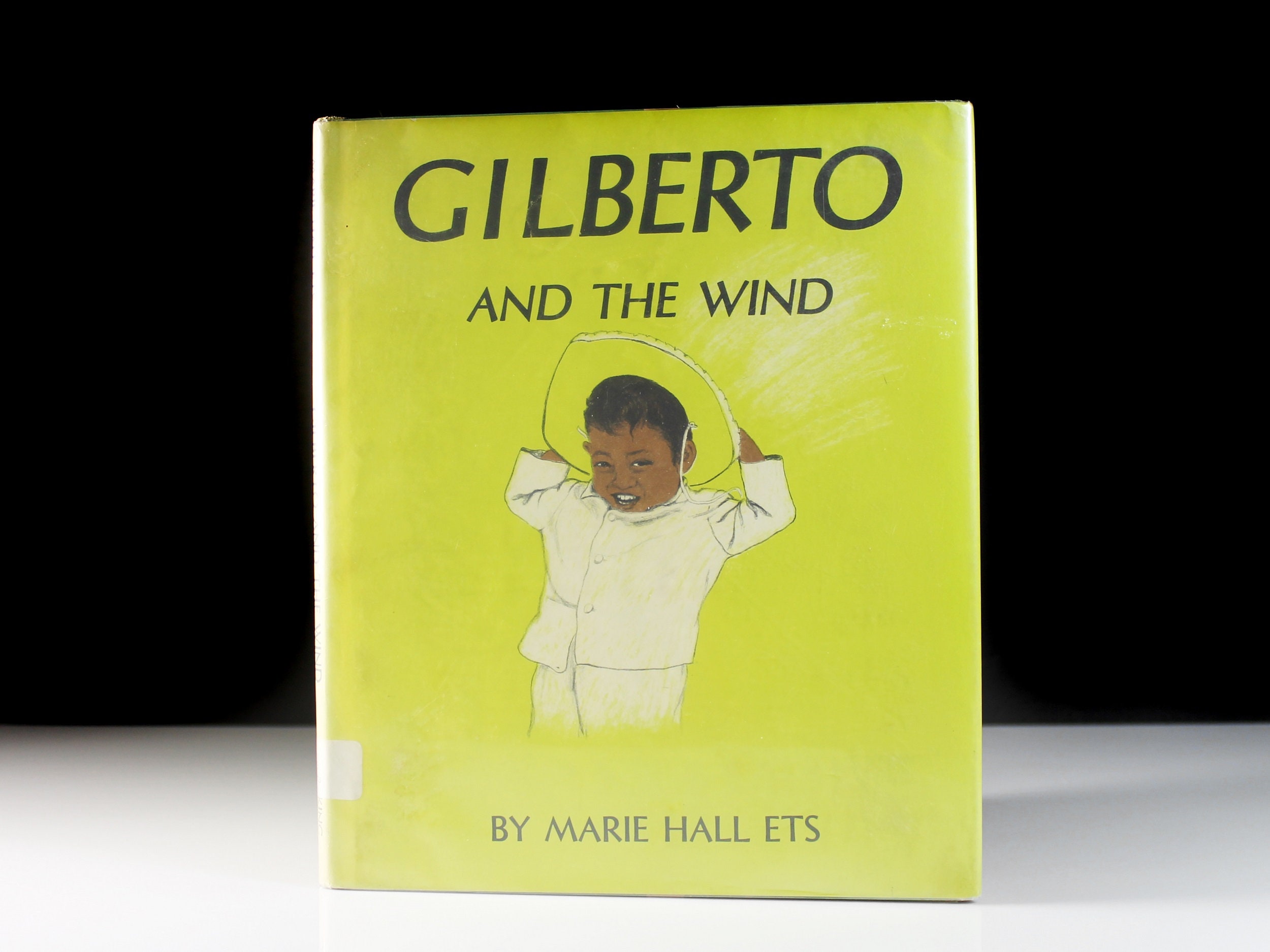 Children's Hardcover Book, Gilberto and the Wind, Fiction, Illustrated ...