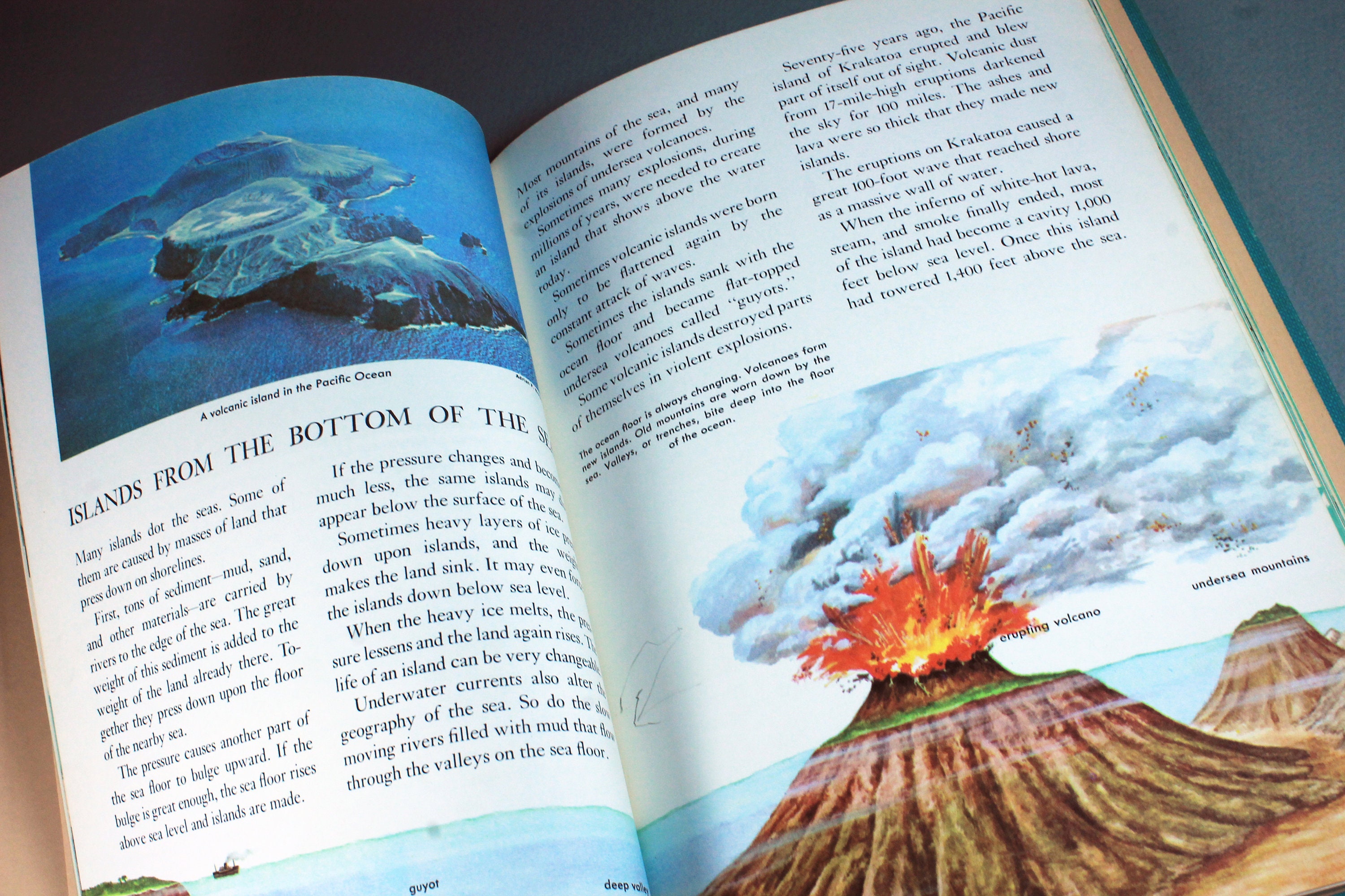 1959 Children's Hardcover Book, The Sea and The Shore, Golden Picture ...