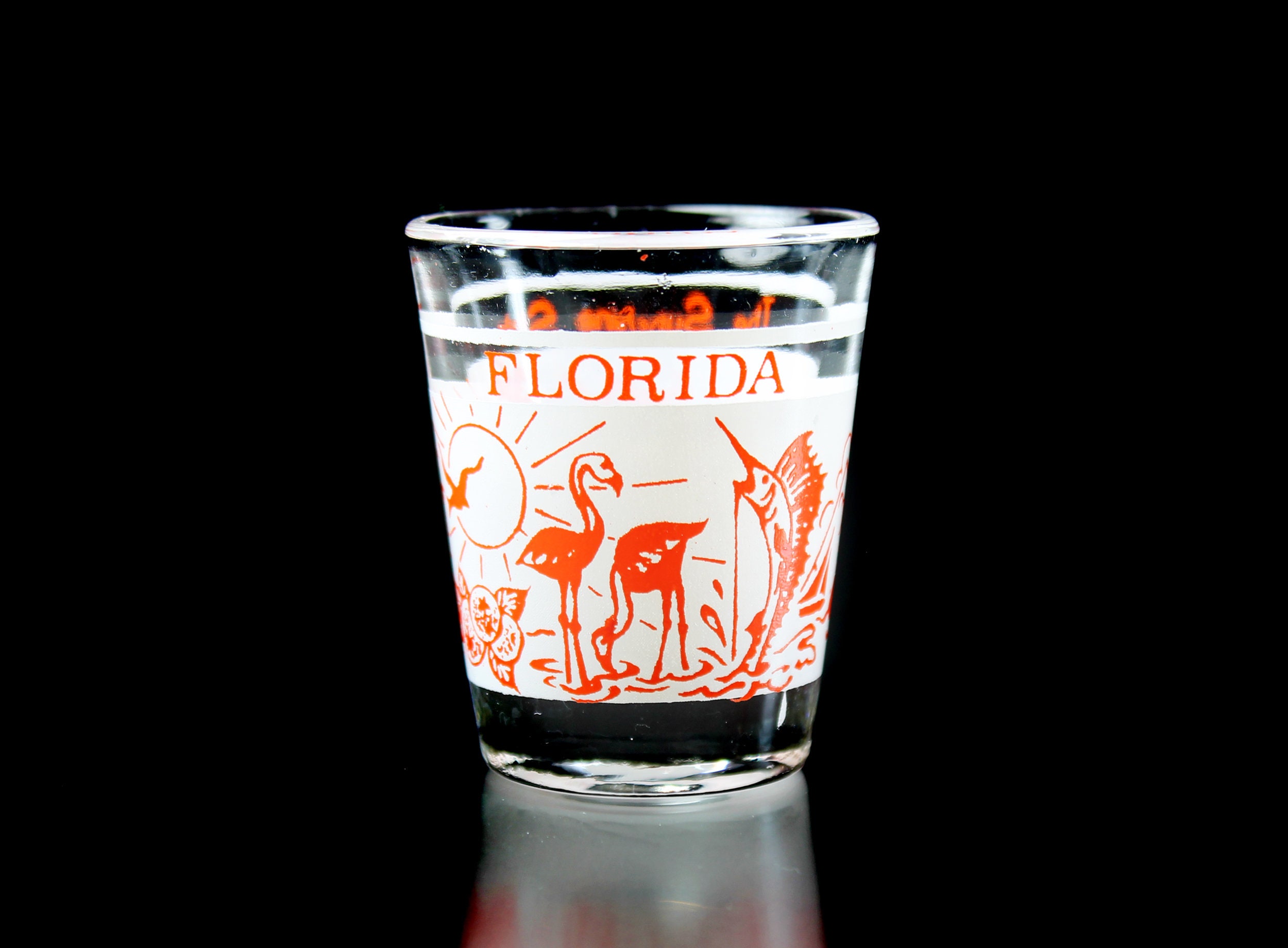Souvenir Shot Glass, Florida, Various Images, Clear Glass, Pryo-Glazed ...