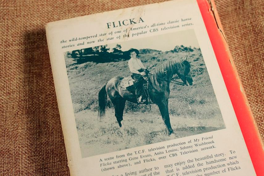 My Friend Flicka, Mary O'Hara, Hardcover Book, Copyright 1941, Thirty ...