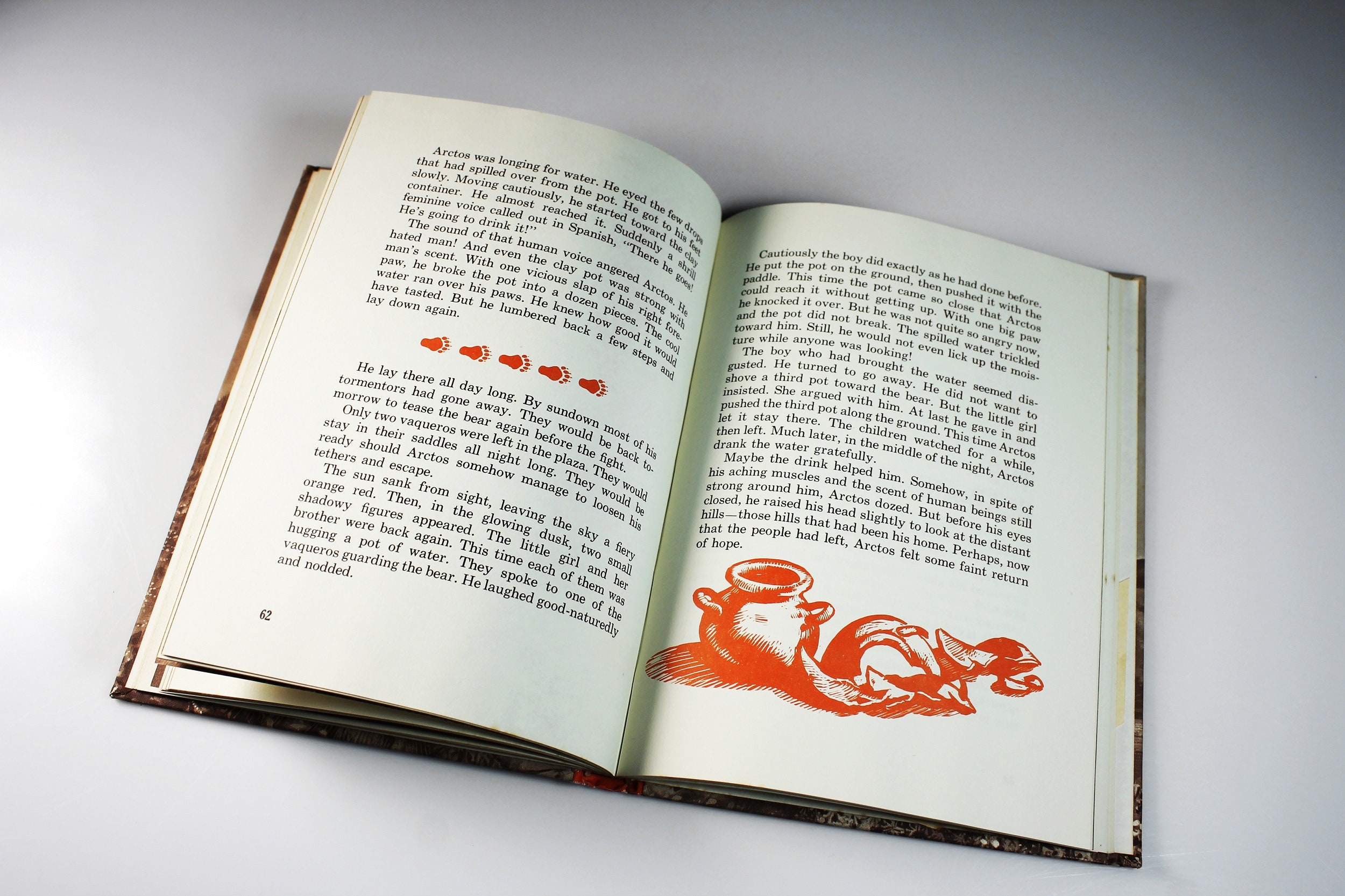 Children's Hardcover Book, Arctos the Grizzly, Bear Book, Animal Story