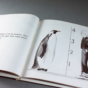 1969 Children's Hardcover Book, the Emperor Penguins, Kazue Mizumura ...