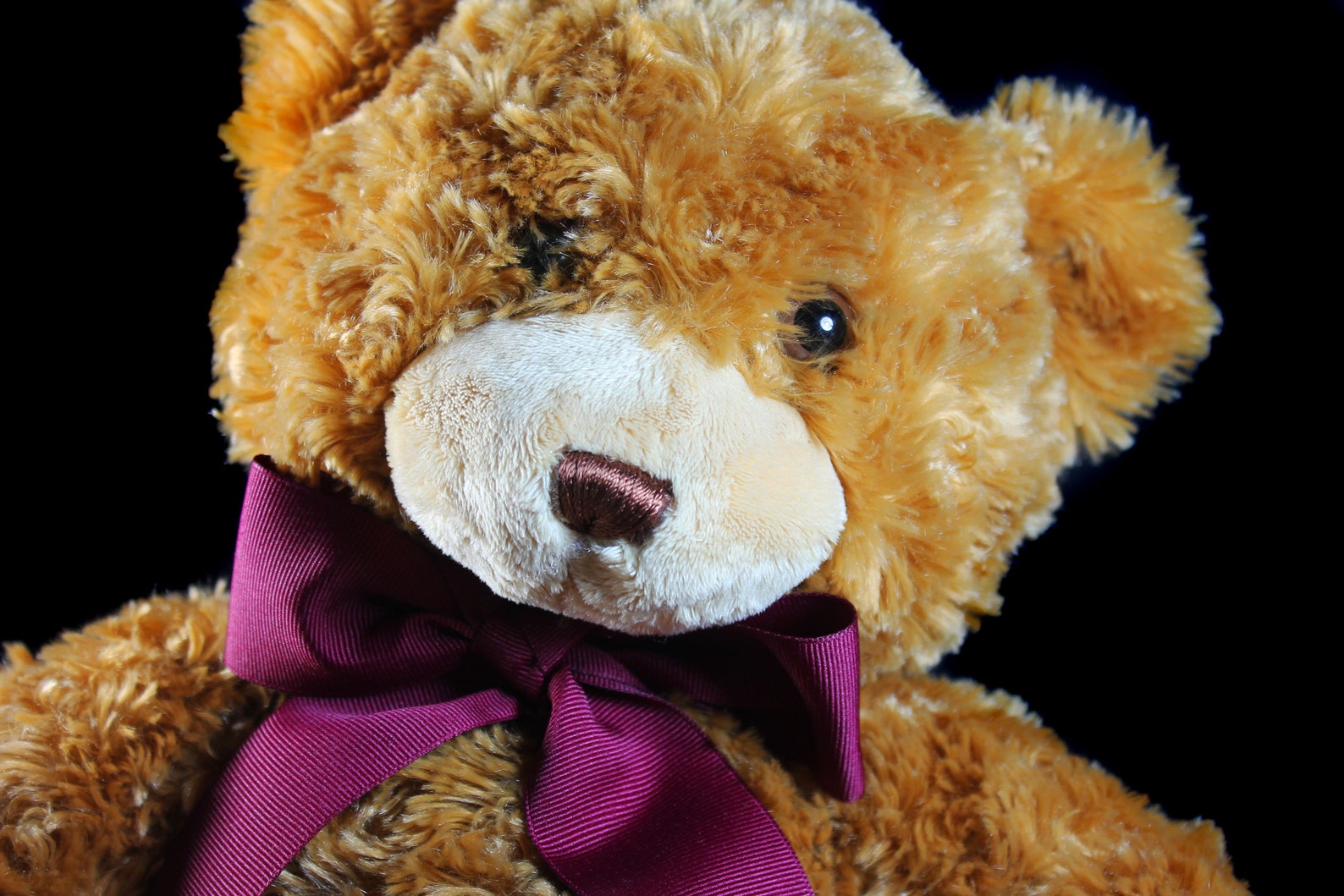 Bear Stuffed Animal Build A Bear Workshop 16 Inch Plush - Etsy