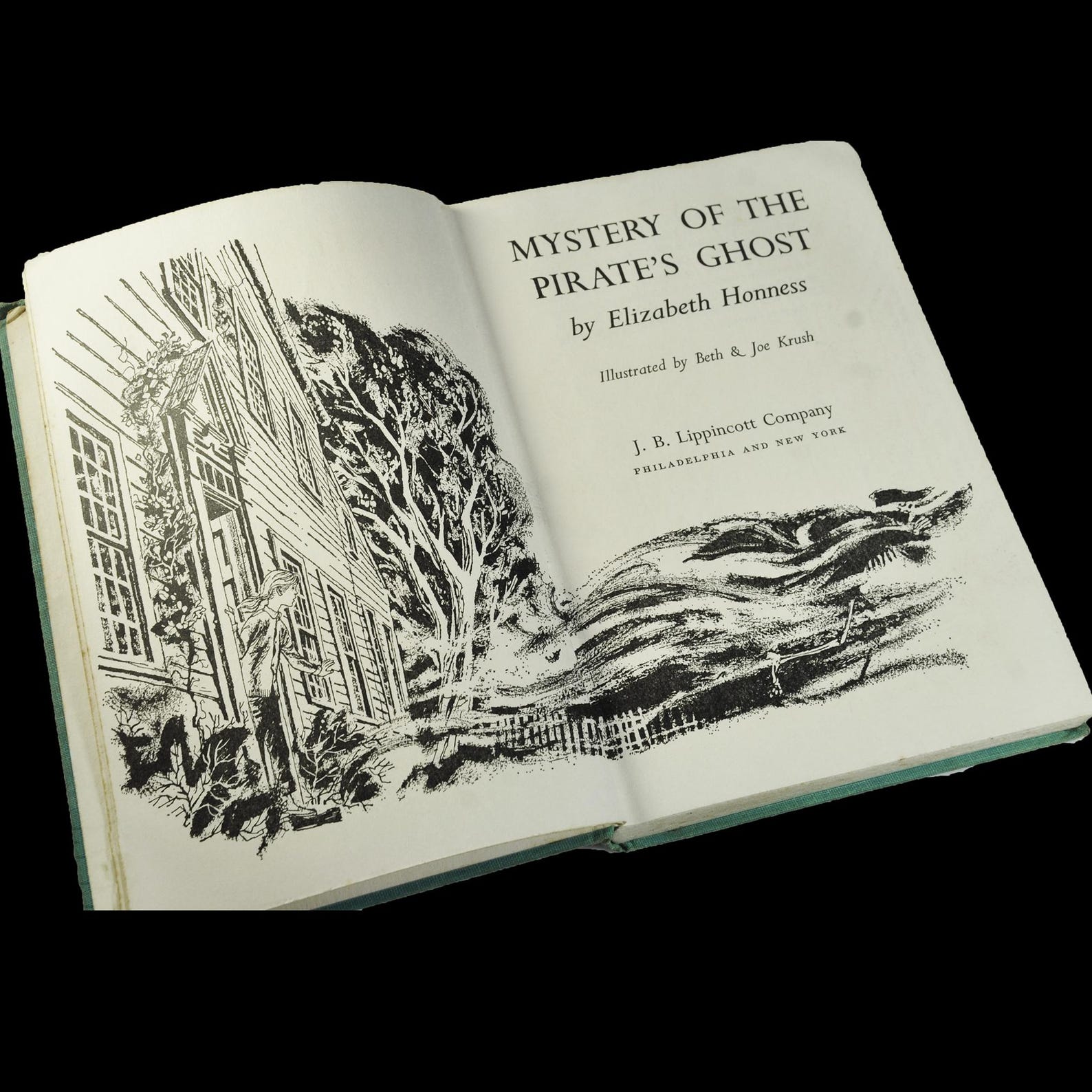 Mystery of the Pirate’s Ghost by Elizabeth Honness – Illustrated by ...
