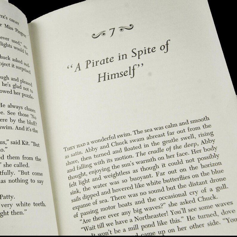 Mystery of the Pirate’s Ghost by Elizabeth Honness – Illustrated by ...