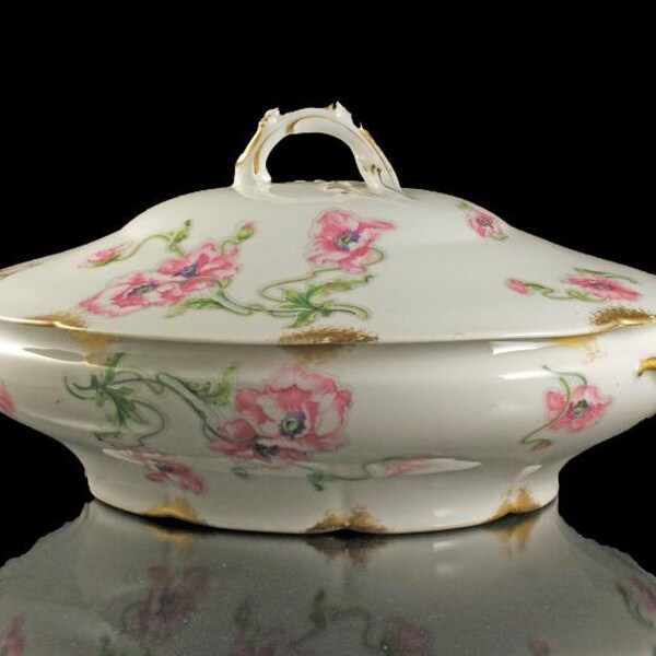 Limoges Haviland China Patterns. Antique - Etsy