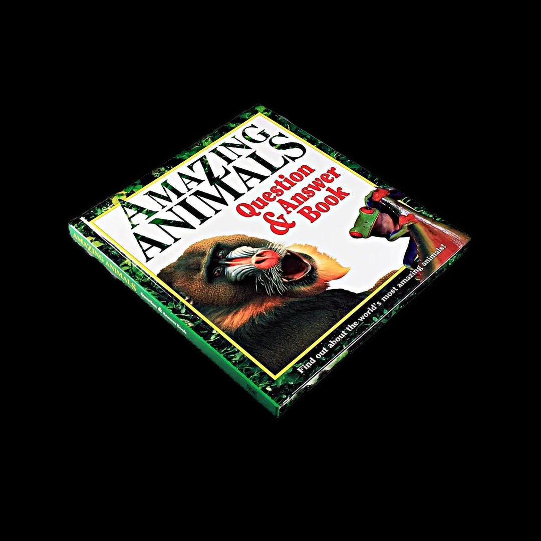 Children's Hardcover Book, Amazing Animals, Reference Book, Question ...