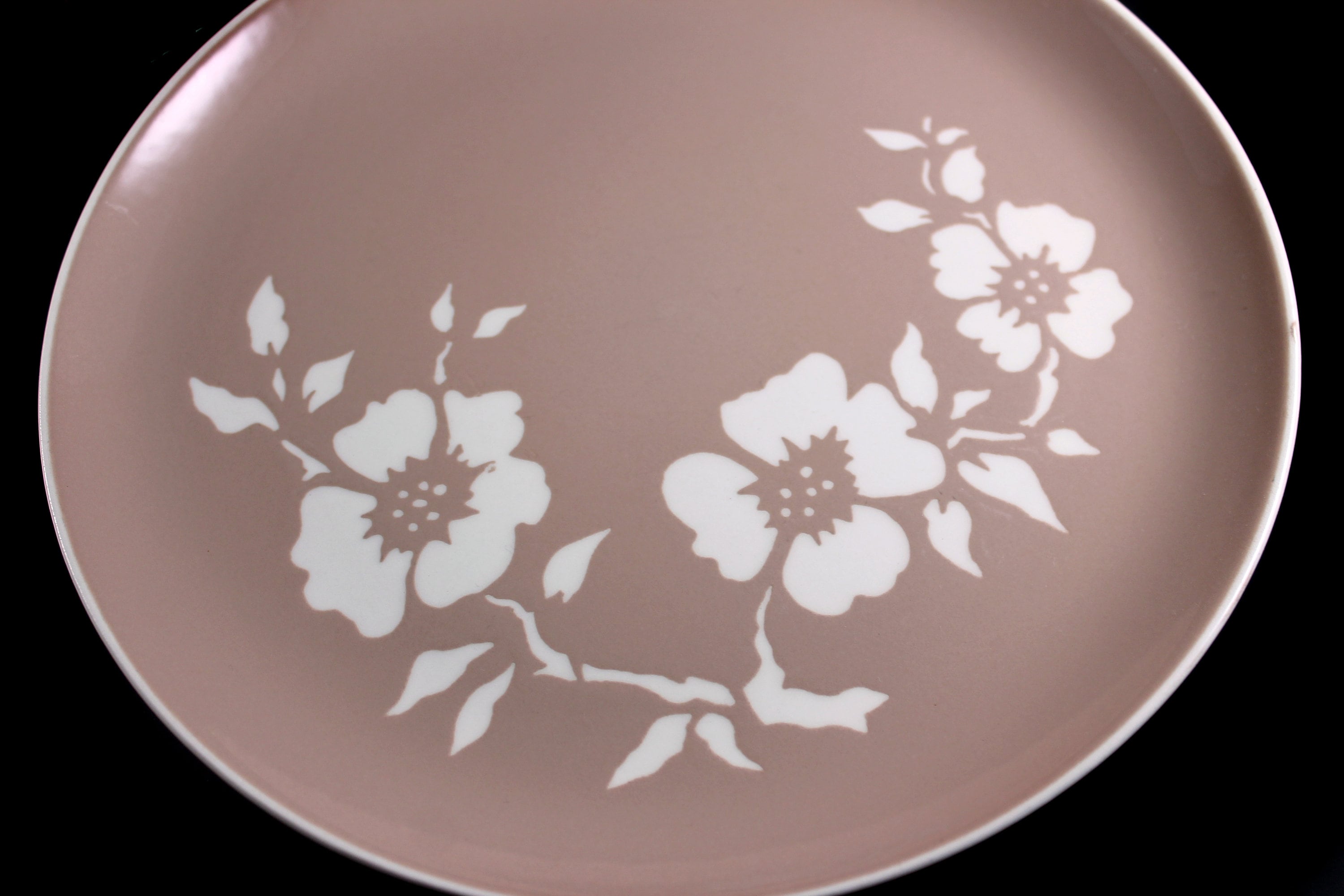 Dinner Plates, Harkerware, Dogwood Tan, Dinnerware, Set of 2, Serving