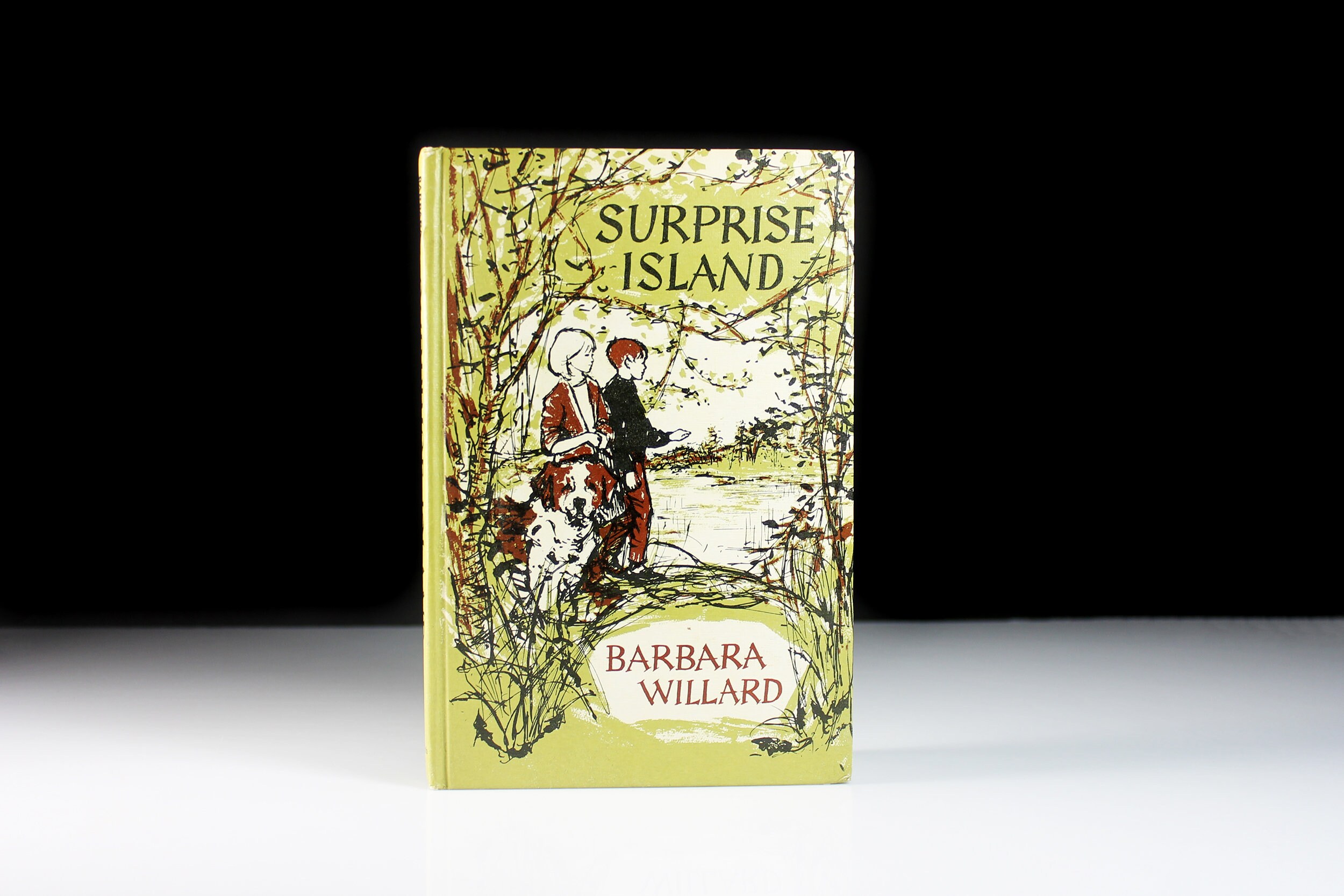Children's Hardcover Book, Surprise Island, Barbara Willard, Fiction ...
