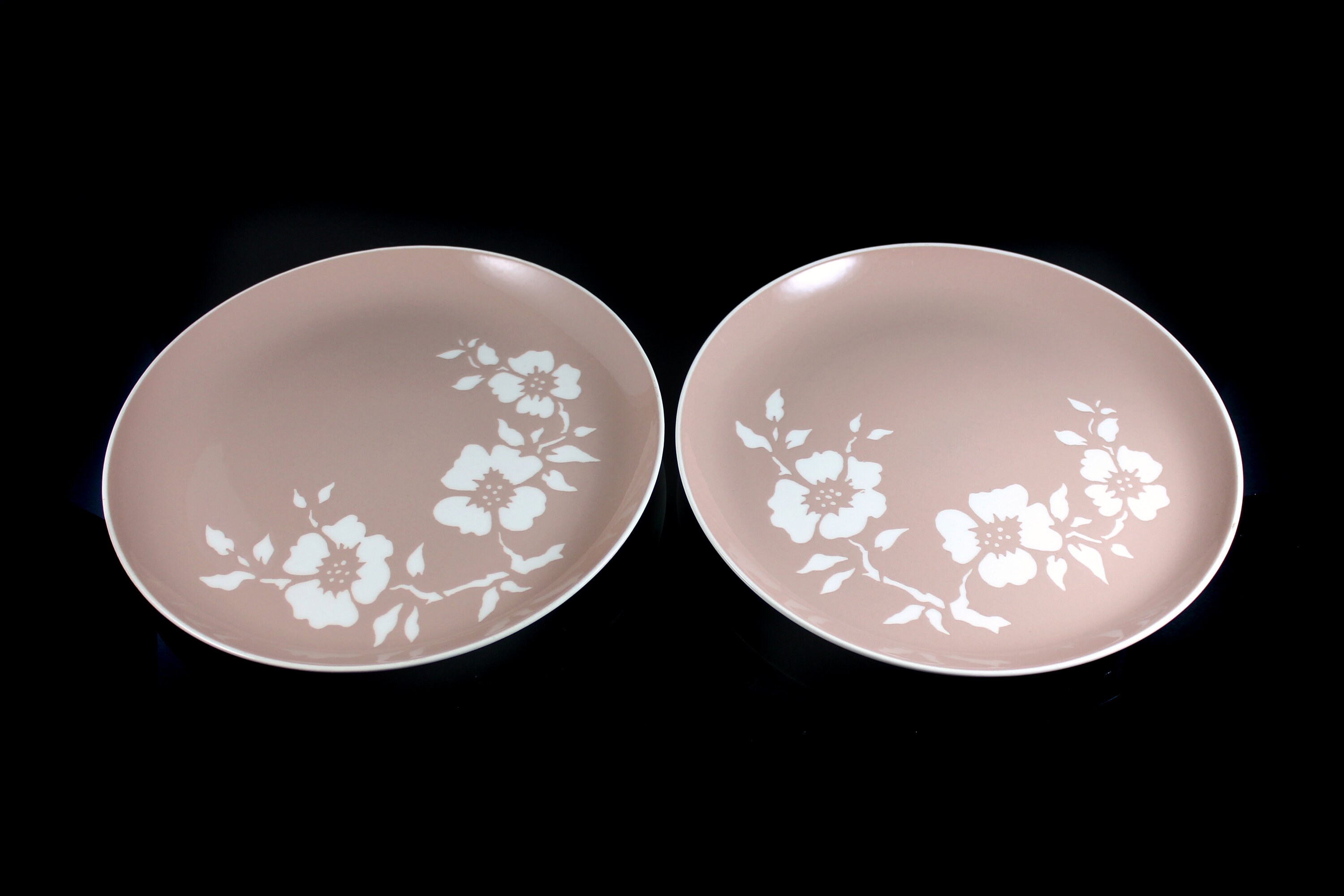 Dinner Plates, Harkerware, Dogwood Tan, Dinnerware, Set of 2, Serving