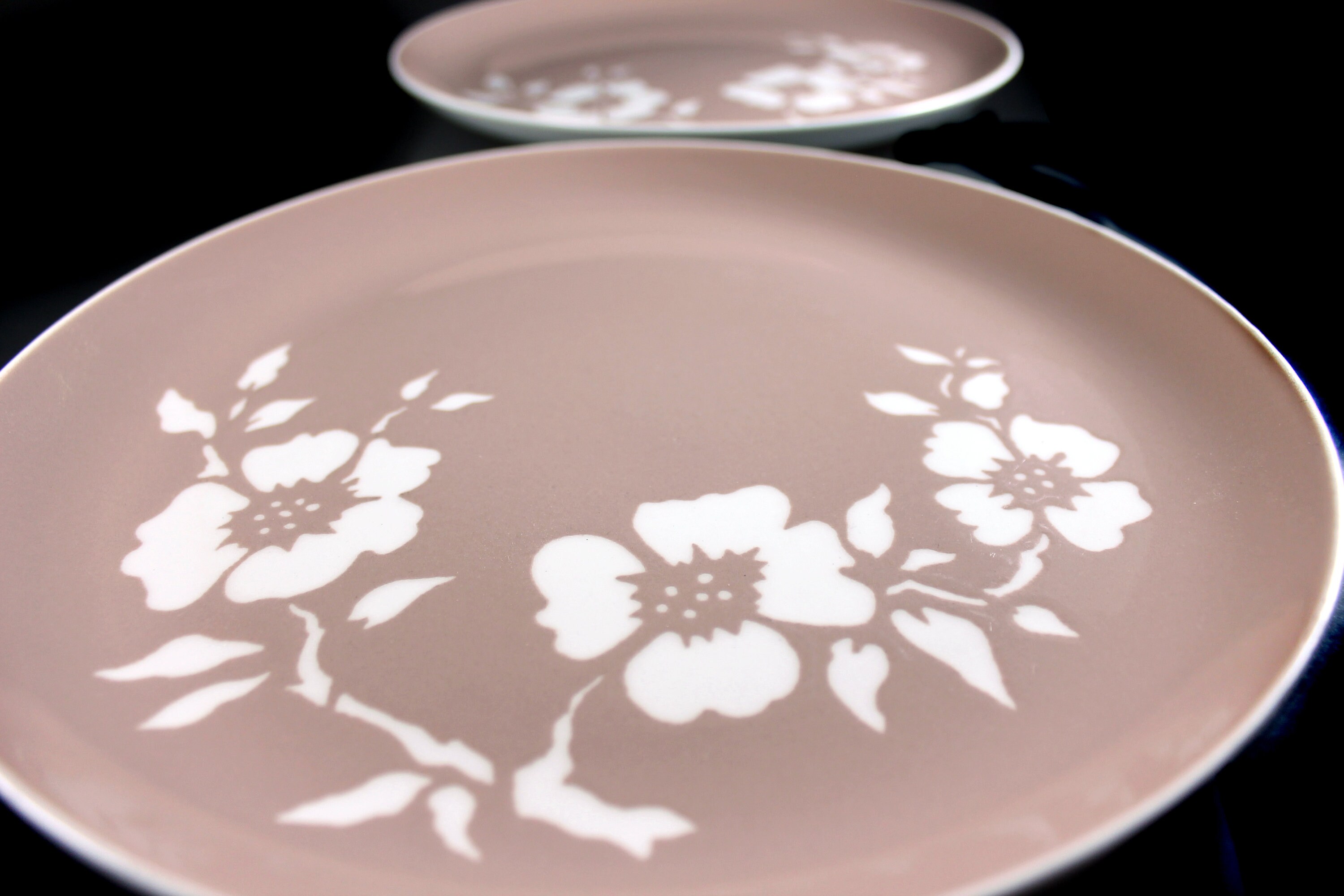 Dinner Plates, Harkerware, Dogwood Tan, Dinnerware, Set of 2, Serving