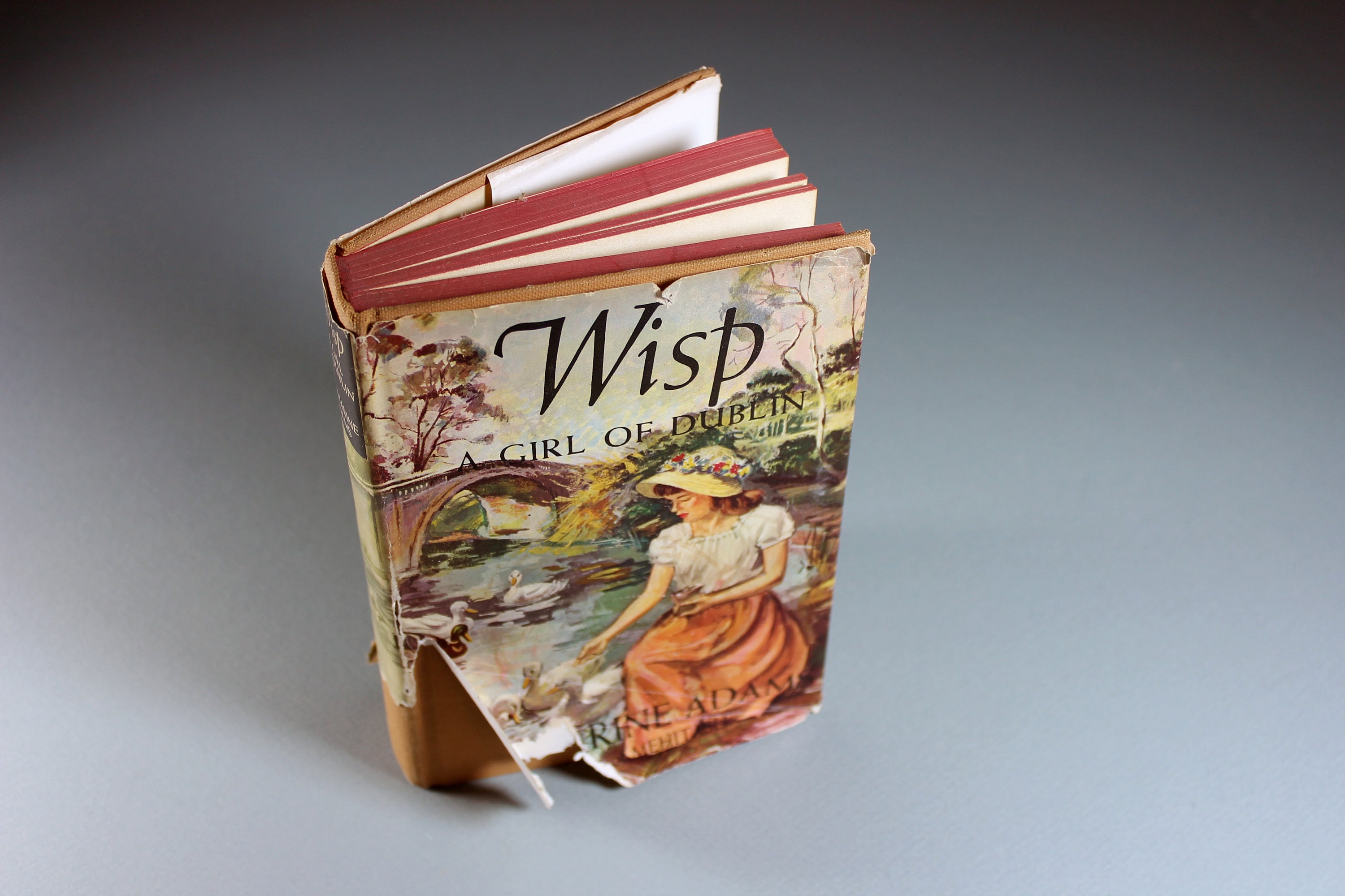 1922 Hardcover Book, Wisp, Katharine Adams, First Edition, Literature ...